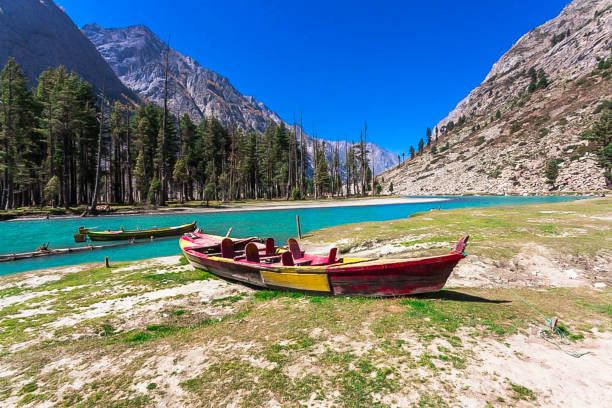 Kalam Pictures | Download Free Images on Unsplash