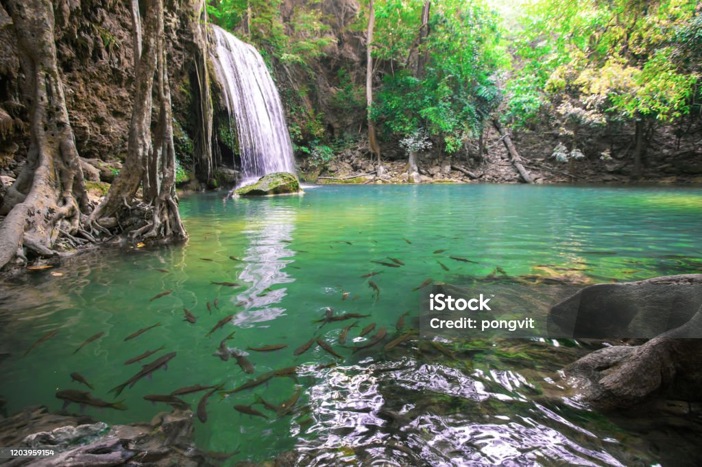 Air Terjun Di Air Biru Zamrud Di Taman Nasional Erawanair Terjun Batu Alam Yang Indah Di