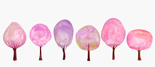 Arbres Roses De Source Ont Réglé Le Fond Collection Darbre Frais De