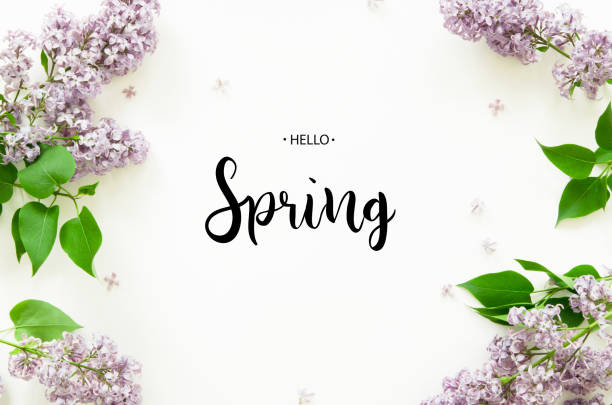 Spring Aesthetic Pictures | Download Free Images on Unsplash