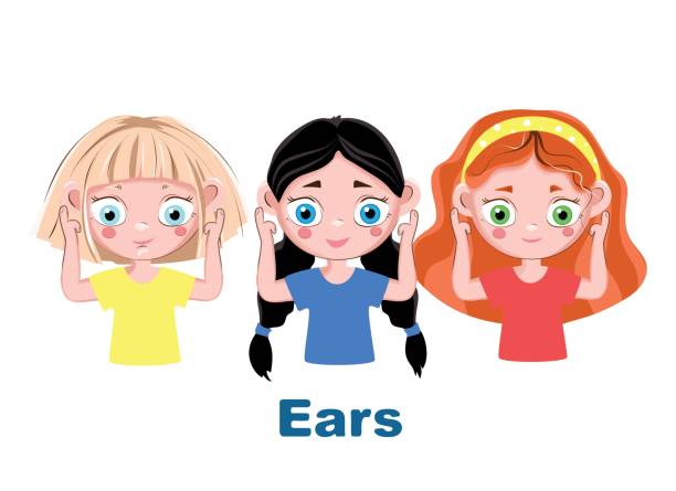 90 Clip Art Of A Girl Anatomy Ilustrasi Grafik Vektor And Clip Art