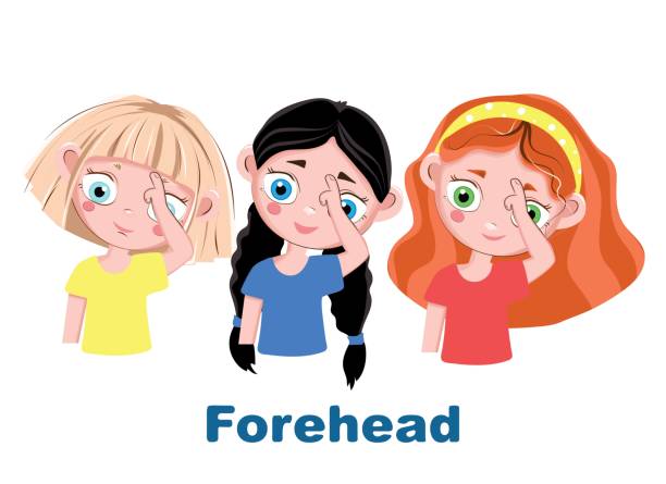 90 Clip Art Of A Girl Anatomy Ilustrasi Grafik Vektor And Clip Art