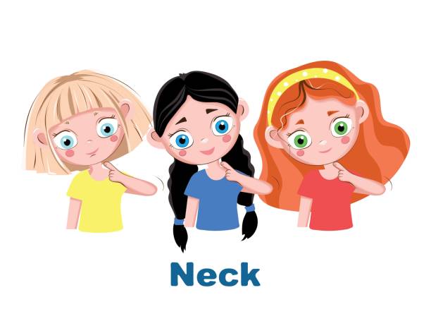 90 Clip Art Of A Girl Anatomy Ilustrasi Grafik Vektor And Clip Art