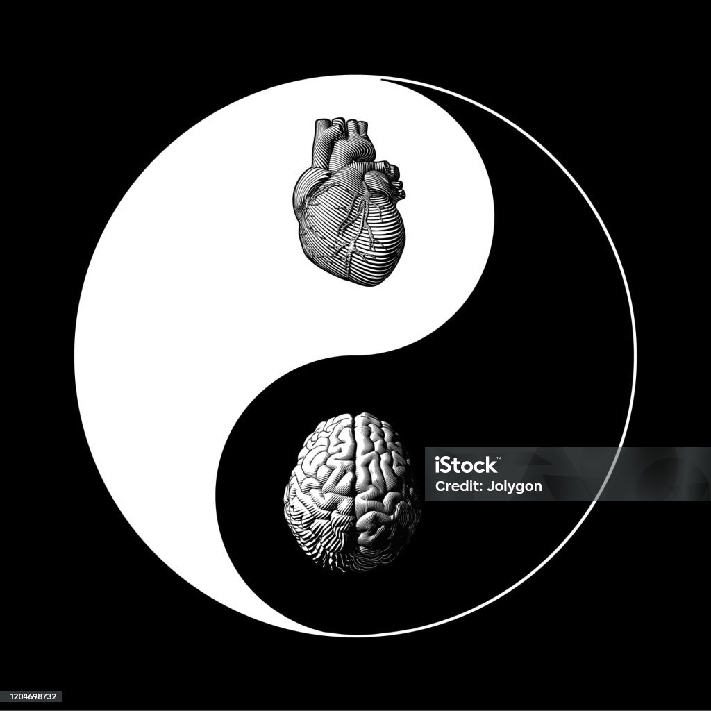 Yin Yang Symbol Med Orgel Hjärna Och Hjärta Illustration Vektorgrafik