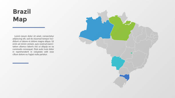 130 Mapa De Brasil Y Viajes Infografía Plantilla De Diseño Fotografías