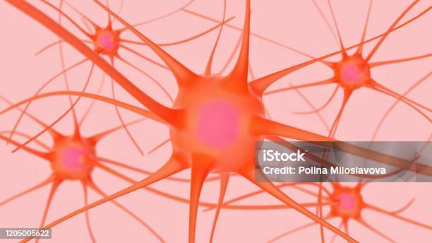 Fondo De Neurona Células Nerviosas Neuronas Fondo De La Red Neuronal