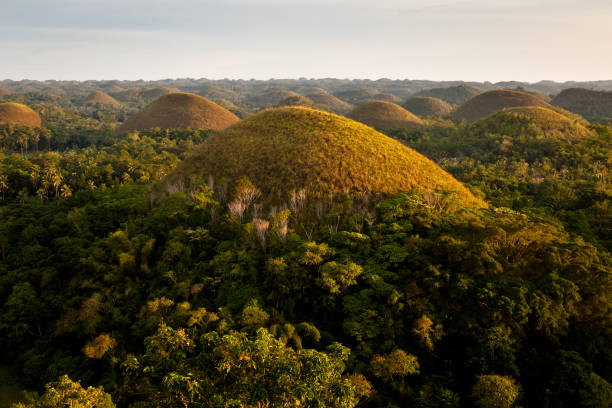 Bohol Pictures | Download Free Images on Unsplash