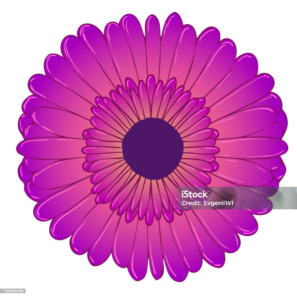 ベクトルのイラスト白い背景に紫色の花 まぶしいのベクターアート素材や画像を多数ご用意 まぶしい イラストレーション オレンジ色