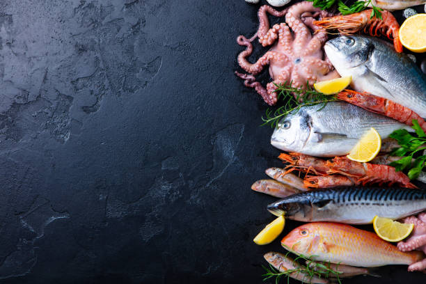 Fish Wallpaper Pictures | Download Free Images on Unsplash