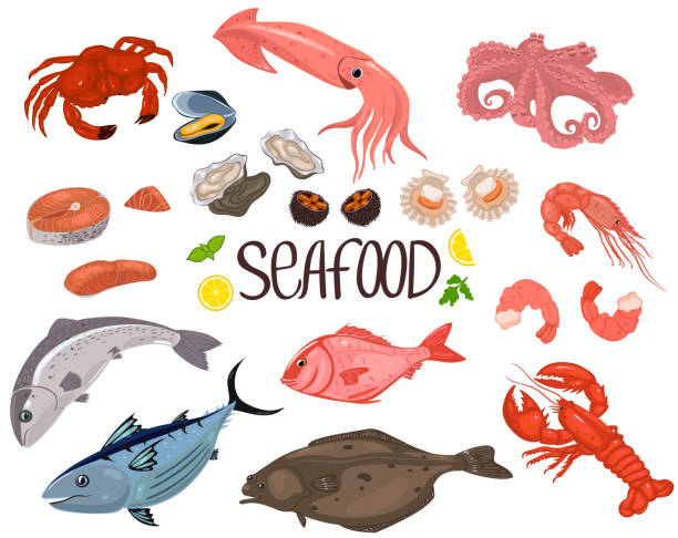 1 100 Loup De Mer Stock Illustrations Graphiques Vectoriels Libre De