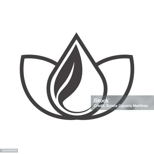 Icône De Fleur De Chute Deau De Feuille Et De Lotus Symbole Simple De