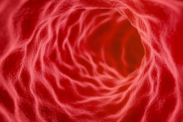Best Blood Red Pictures [HD] | Download Free Images on Unsplash