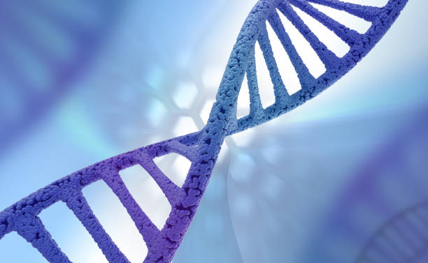 Gene Therapy Pictures | Download Free Images on Unsplash
