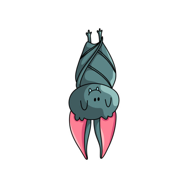 Bat sleeping Clipart Vector PNG , SVG, EPS, PSD, AI