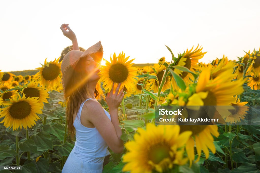 The Beautiful Girl In Sunflowers Field Emotional Girl Enjoying Nature And Laughing On Summer