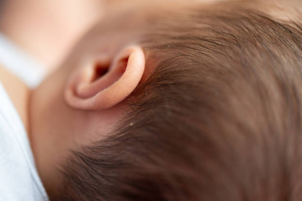 Free Stock Photo of Close-up of a newborn baby s ear | Download Free ...