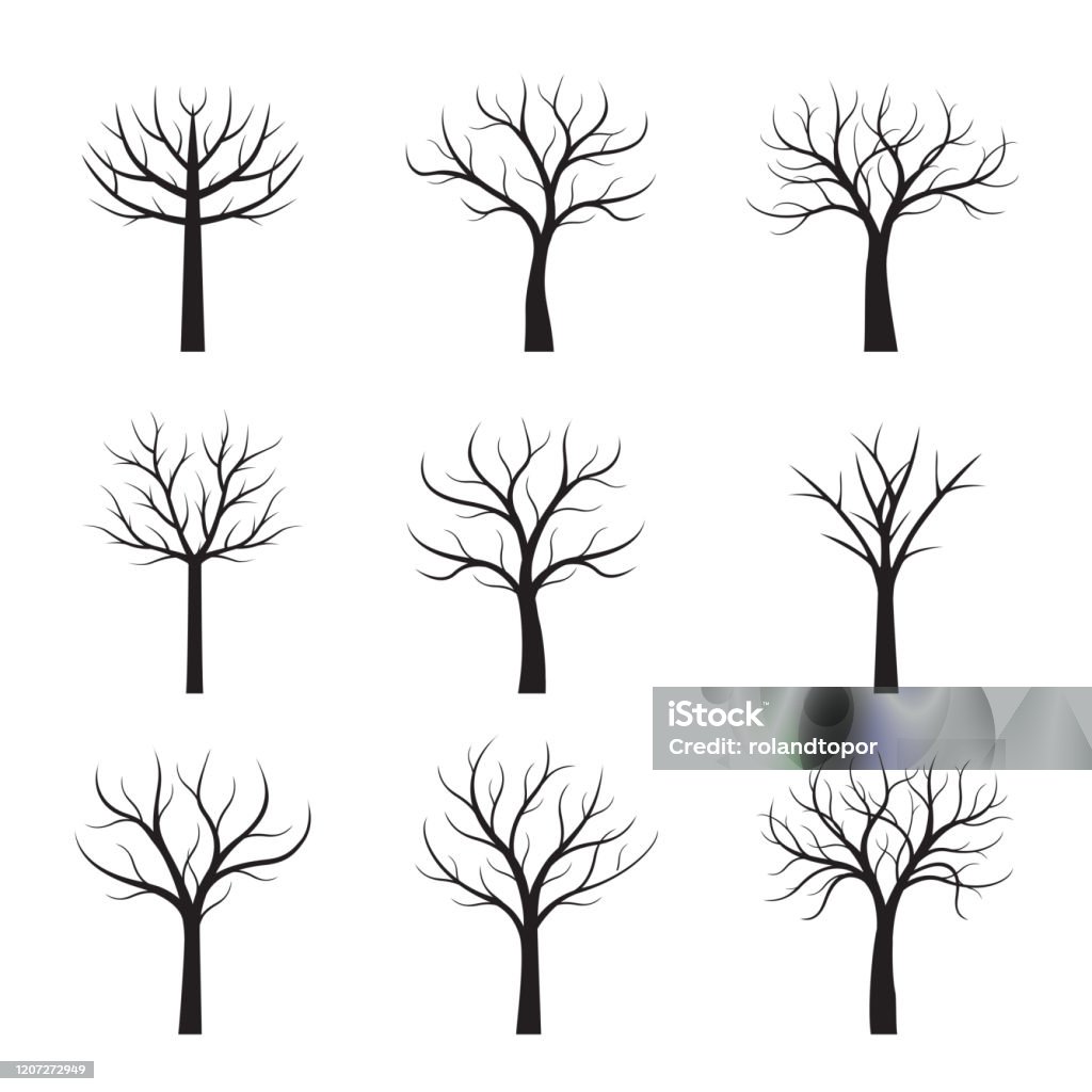 Ensemble Darbres Vecteurs Noirs Forme Des Plantes Illustration De