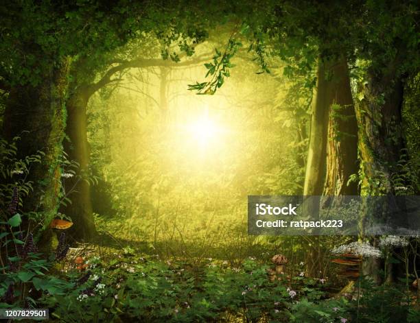 Indah Mempesona Dongeng Hutan Subur 3d Render Foto Stok - Unduh Gambar ... Indah Mempesona Dongeng Hutan Subur 3d Render Foto Stok - Unduh Gambar ...