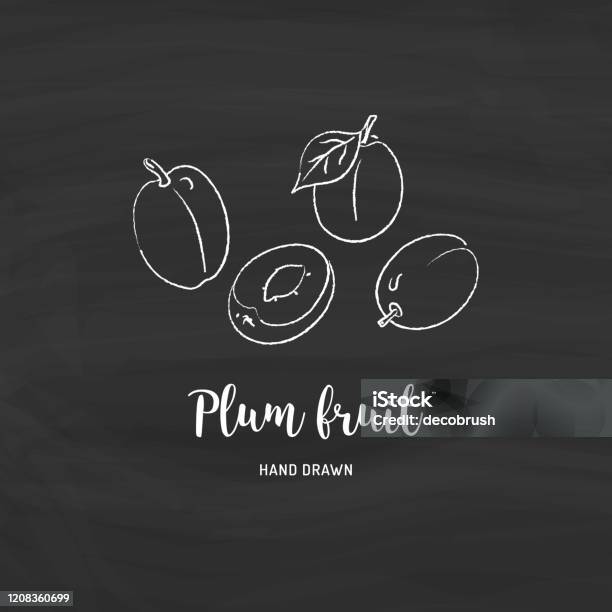 Gambar Grafis Buah Prem Sketsa Prem Dengan Kapur Di Papan Tulis