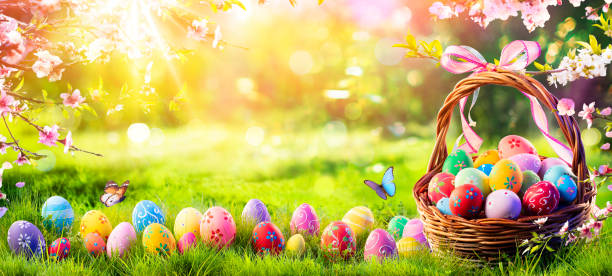 900+ Easter Background Images: Download HD Backgrounds on Unsplash