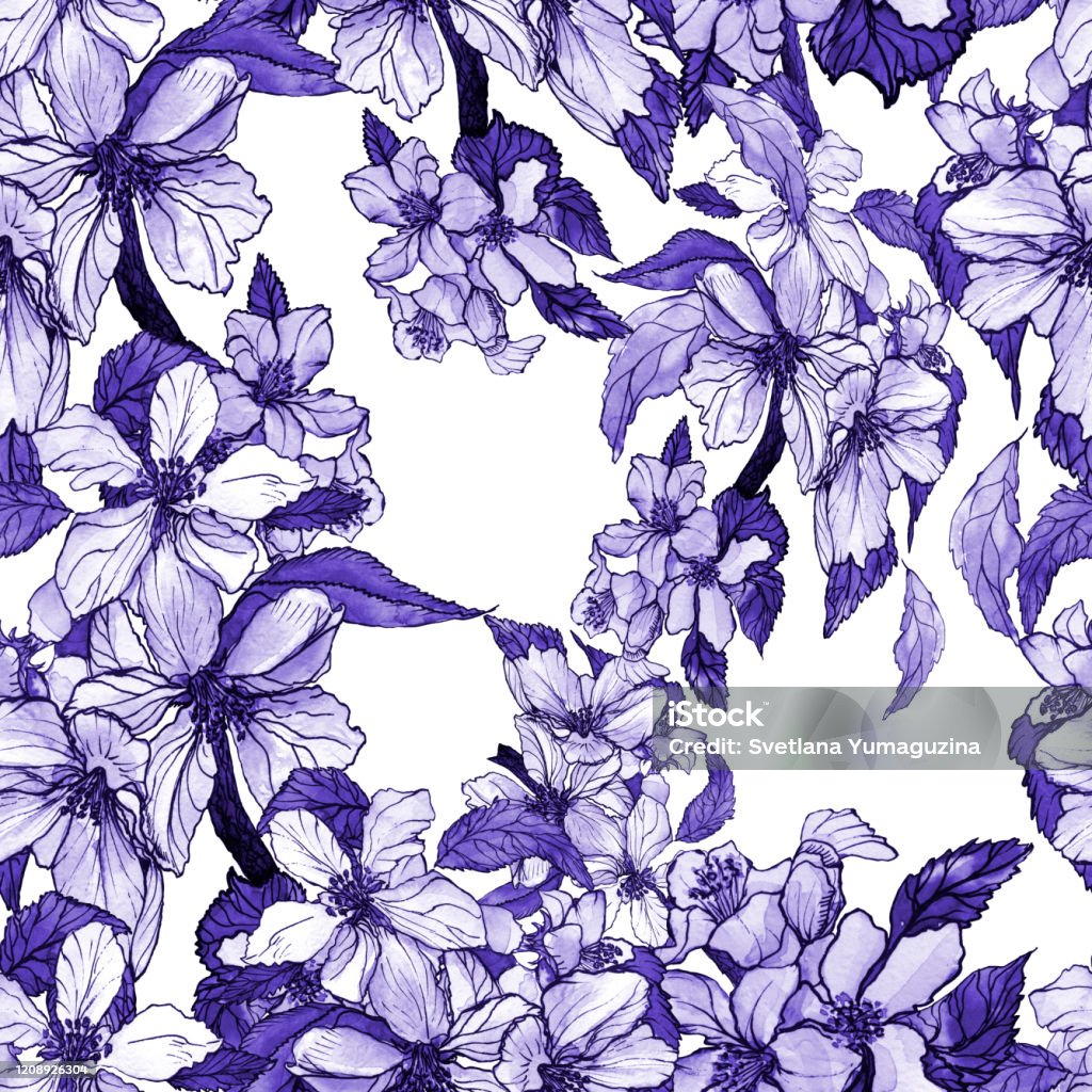 Dessin À Laquarelle Et À Lencre Fleurs Du Pommier Modèle Sans Couture