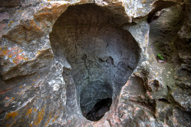460 Parque Nacional De Wind Cave Fotos De Stock Imagens E Fotos