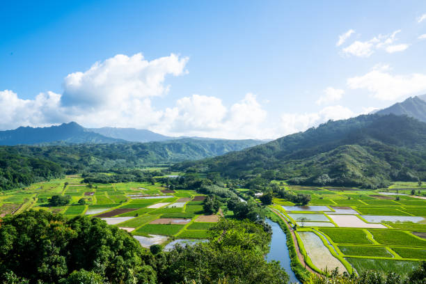 Free Stock Photo of Kawaii, Hawaii Countryside | Download Free Images ...