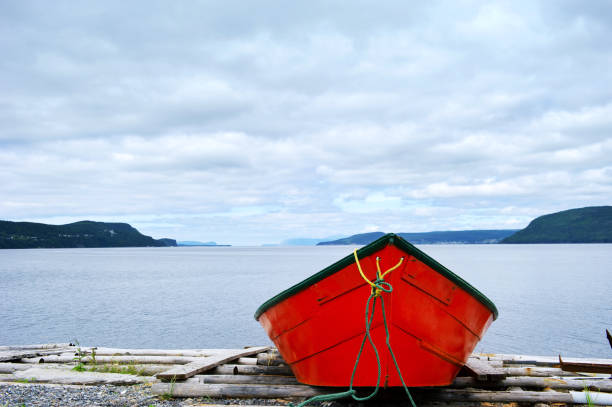 999+ Newfoundland And Labrador Pictures | Download Free Images on Unsplash