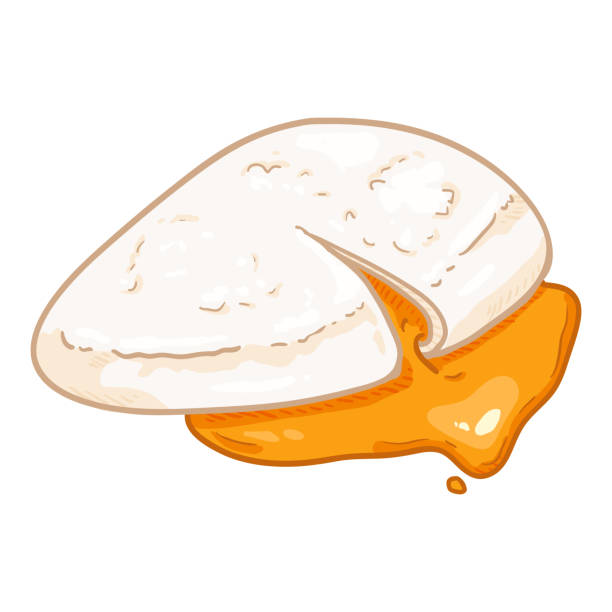 420 Poached Egg Stock Illustrations Royalty Free Vector Graphics