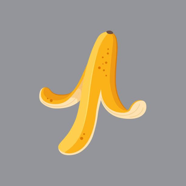 7300 Bannana Peel Stock Illustrations Royalty Free Vector Graphics And Clip Art Istock