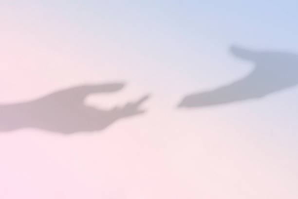 Shadow Hand Pictures | Download Free Images on Unsplash