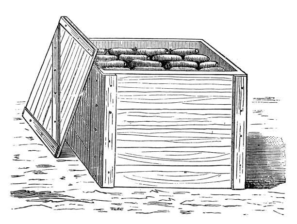 13 400 Caisse Bois Stock Illustrations Graphiques Vectoriels Libre De