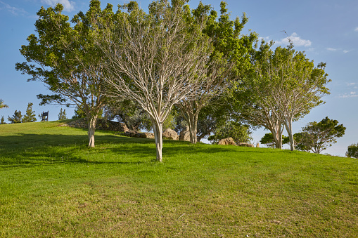 Lanskap Hijau Dengan Danau Pepohonan Dan Lapangan Golf Foto Stok ... Lanskap Hijau Dengan Danau Pepohonan Dan Lapangan Golf Foto Stok ...