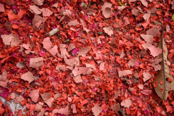 Free Stock Photo of Fireworks debris | Download Free Images and Free ...