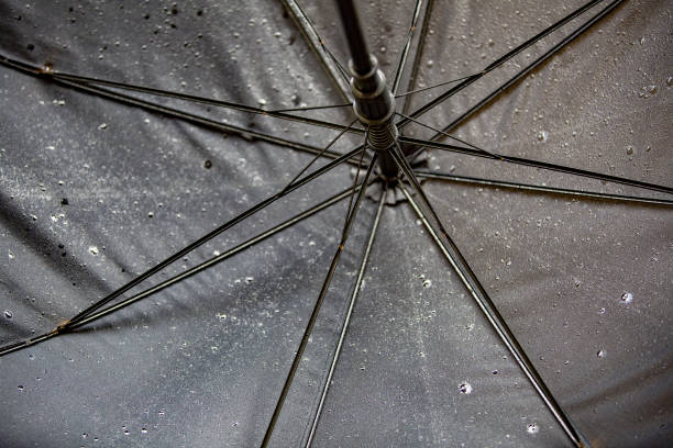 Free Stock Photo of Dark umbrella with water droplets close up ...