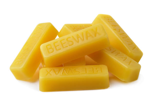Beeswax Pictures | Download Free Images on Unsplash