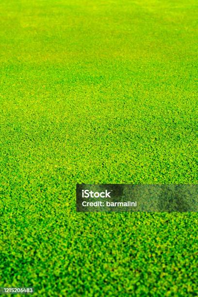 Latar Belakang Dengan Rumput Hijau Yang Terawat Dengan Baik Di Lapangan ... Latar Belakang Dengan Rumput Hijau Yang Terawat Dengan Baik Di Lapangan ...