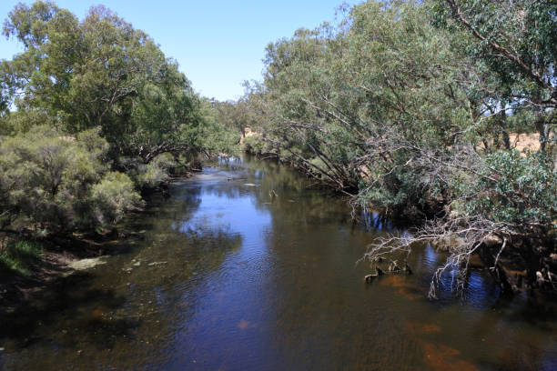 Free picture: coleen, river