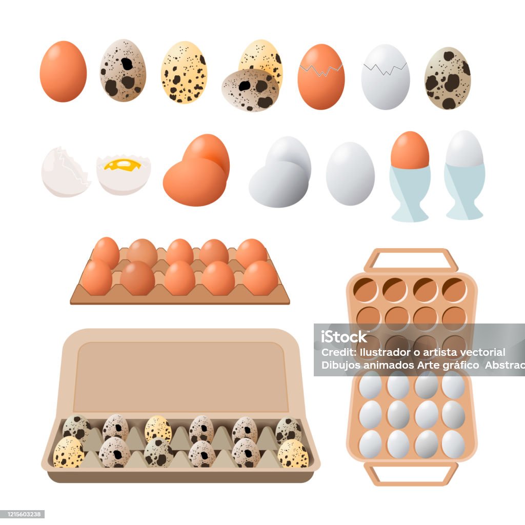 Fried Egg Set Fast Food Cooking Lunch Dinner Or Breakfast Natural