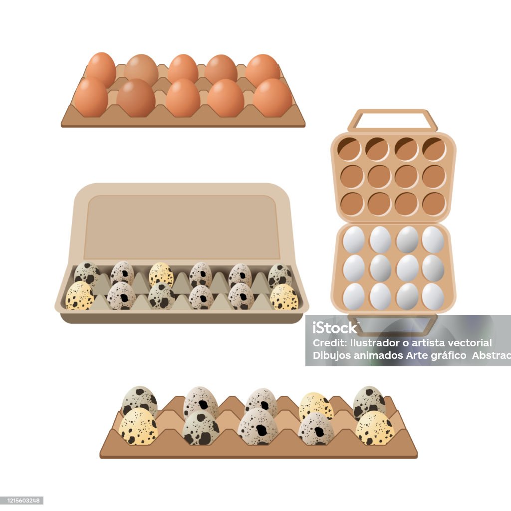 Fried Egg Set Fast Food Cooking Lunch Dinner Or Breakfast Natural