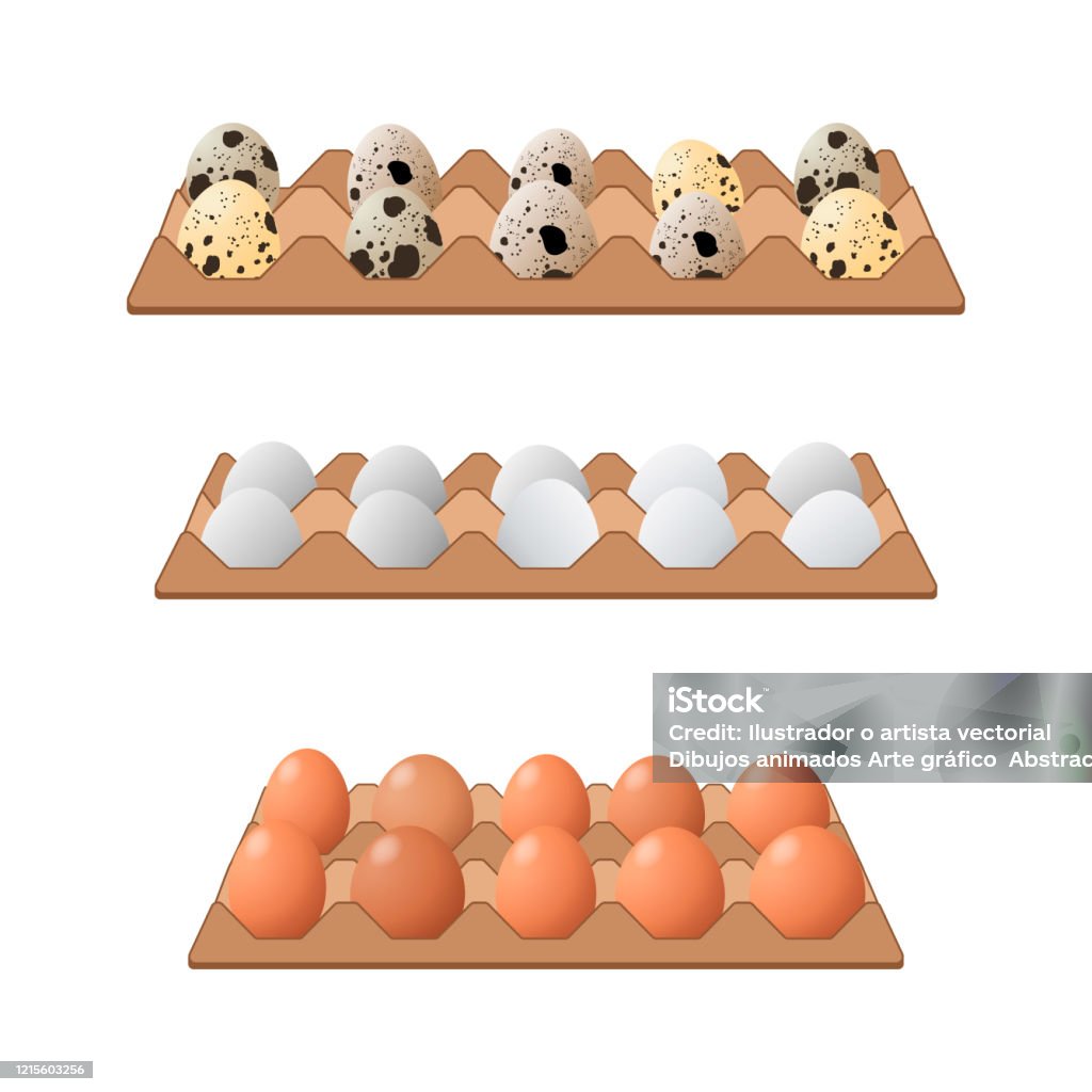 Fried Egg Set Fast Food Cooking Lunch Dinner Or Breakfast Natural