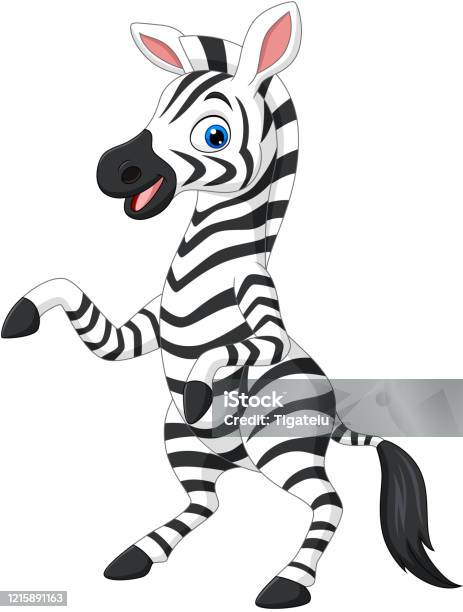 Kartun Zebra Lucu Di Latar Belakang Putih Ilustrasi Stok - Unduh Gambar ... Kartun Zebra Lucu Di Latar Belakang Putih Ilustrasi Stok - Unduh Gambar ...