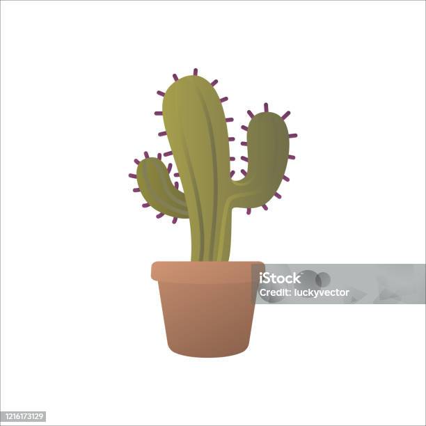 Kaktus Tanaman Hias Dalam Pot Tanaman Indoor Dengan Jarum Yang Tumbuh ... Kaktus Tanaman Hias Dalam Pot Tanaman Indoor Dengan Jarum Yang Tumbuh ...