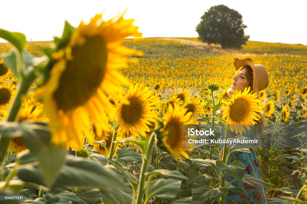 The Beautiful Girl In Sunflowers Field Emotional Girl Enjoying Nature And Laughing On Summer