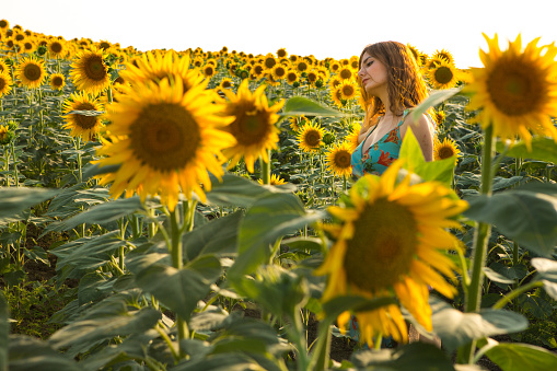 The Beautiful Girl In Sunflowers Field Emotional Girl Enjoying Nature And Laughing On Summer