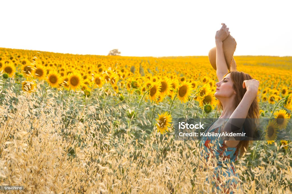 The Beautiful Girl In Sunflowers Field Emotional Girl Enjoying Nature And Laughing On Summer