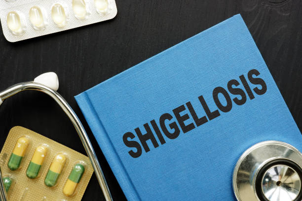Free picture: photomicrograph, stool, exudates, patient, shigellosis ...