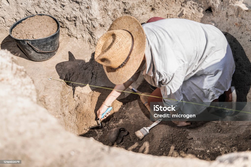Archaeologist Uncovering Artifacts Remains Stock Photo - Download Image ... Archaeologist Uncovering Artifacts Remains Stock Photo - Download Image ...