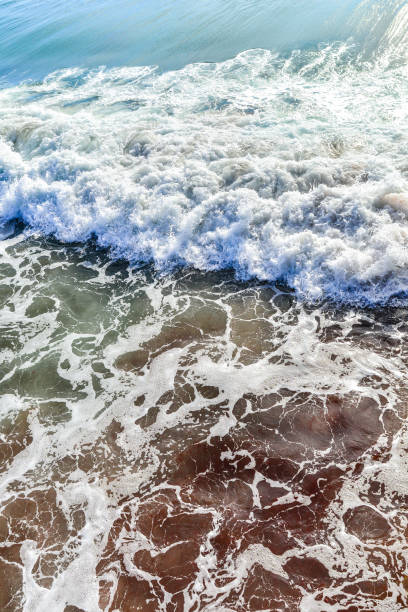 Beach Vibes Pictures | Download Free Images on Unsplash