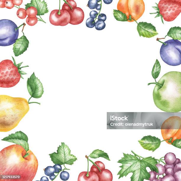 Bingkai Persegi Buahbuahan Dan Buah Berijpg Ilustrasi Stok - Unduh ... Bingkai Persegi Buahbuahan Dan Buah Berijpg Ilustrasi Stok - Unduh ...